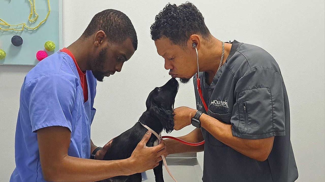 New Orleans Veterinarian Honored by Westminster Kennel Club - Biz New ...