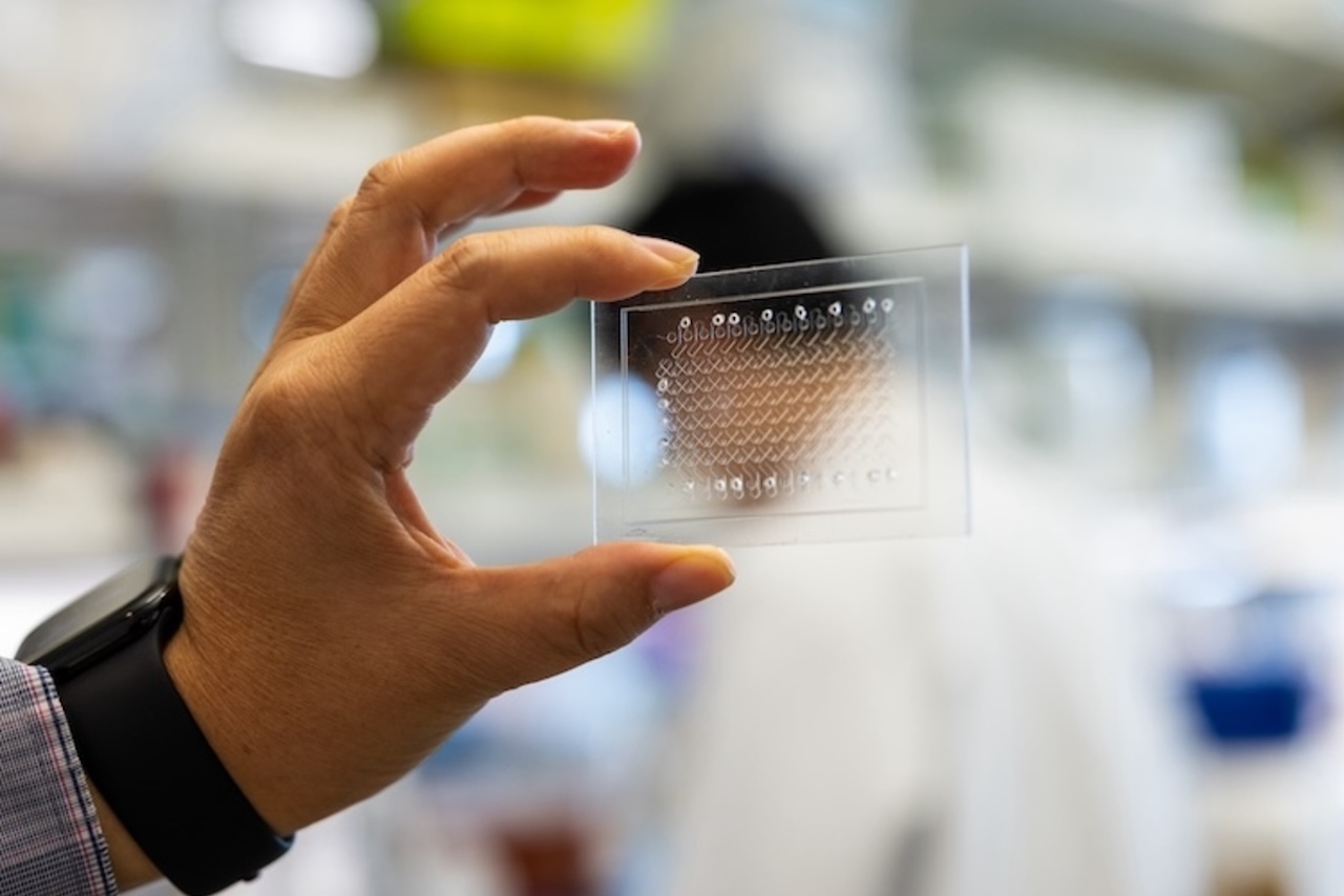 Beetle-Inspired TB Test Targets HIV Hotspots - Biz New Orleans