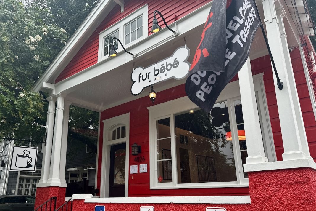 Fur Bebe Cafe Announces Grand Opening - Biz New Orleans