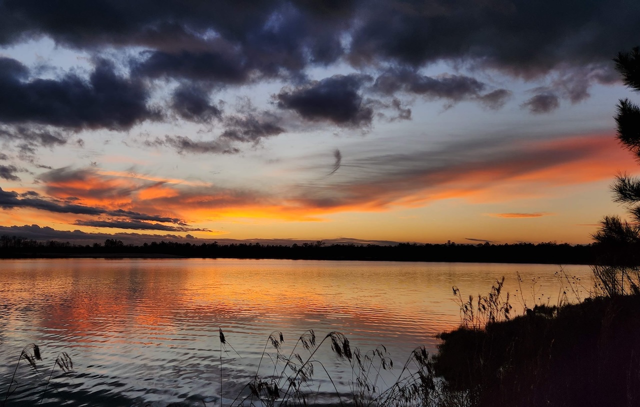 Lake Isabel Farm Opens to Public - Biz New Orleans