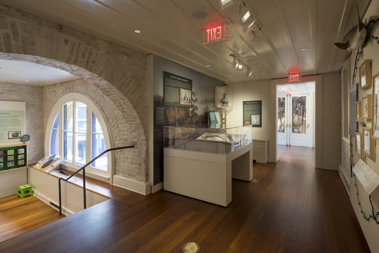 HNOC Offers Free Tours of Katrina-Era Exhibit - Biz New Orleans