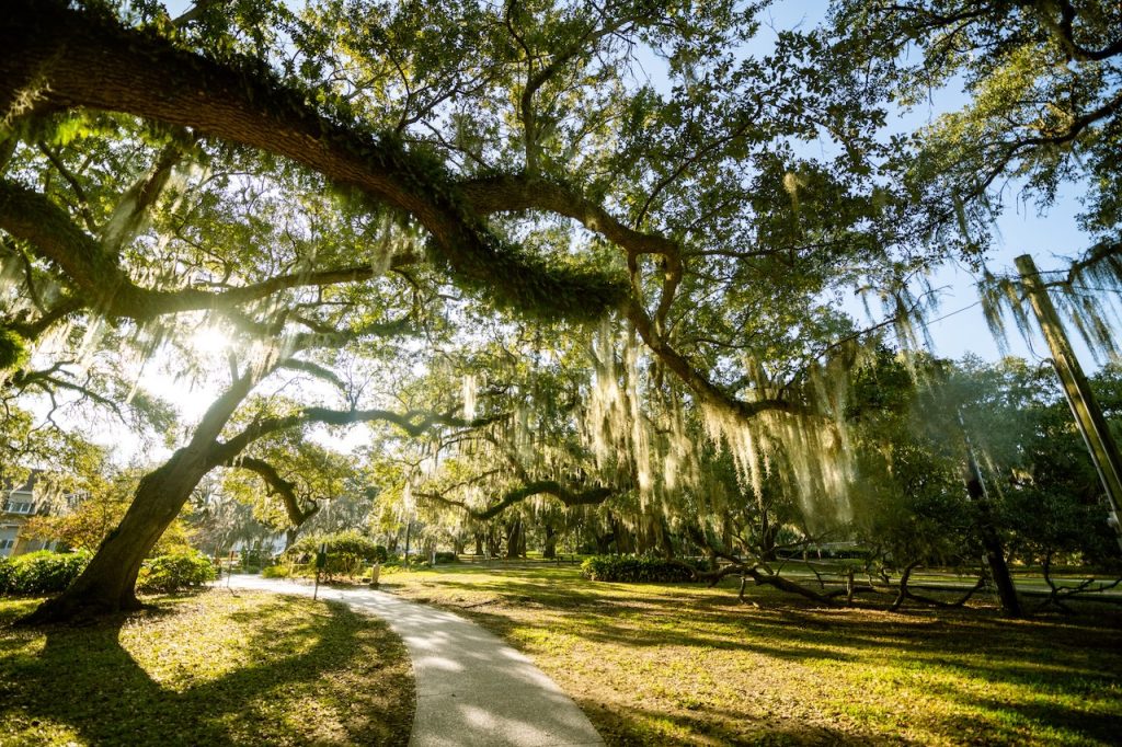 Keep Louisiana Beautiful Funds 8 University Recycling Projects - Biz ...