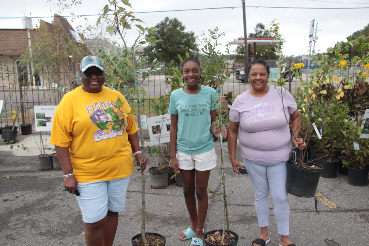 NOLA Tree Project to Give Away 700 Trees - Biz New Orleans