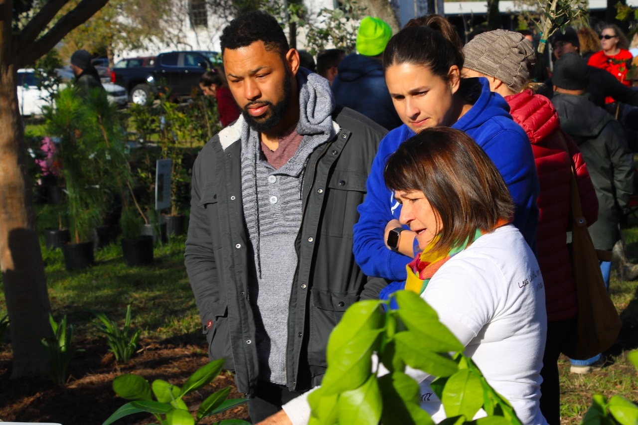 NOLA Tree Project to Give Away 700 Trees - Biz New Orleans