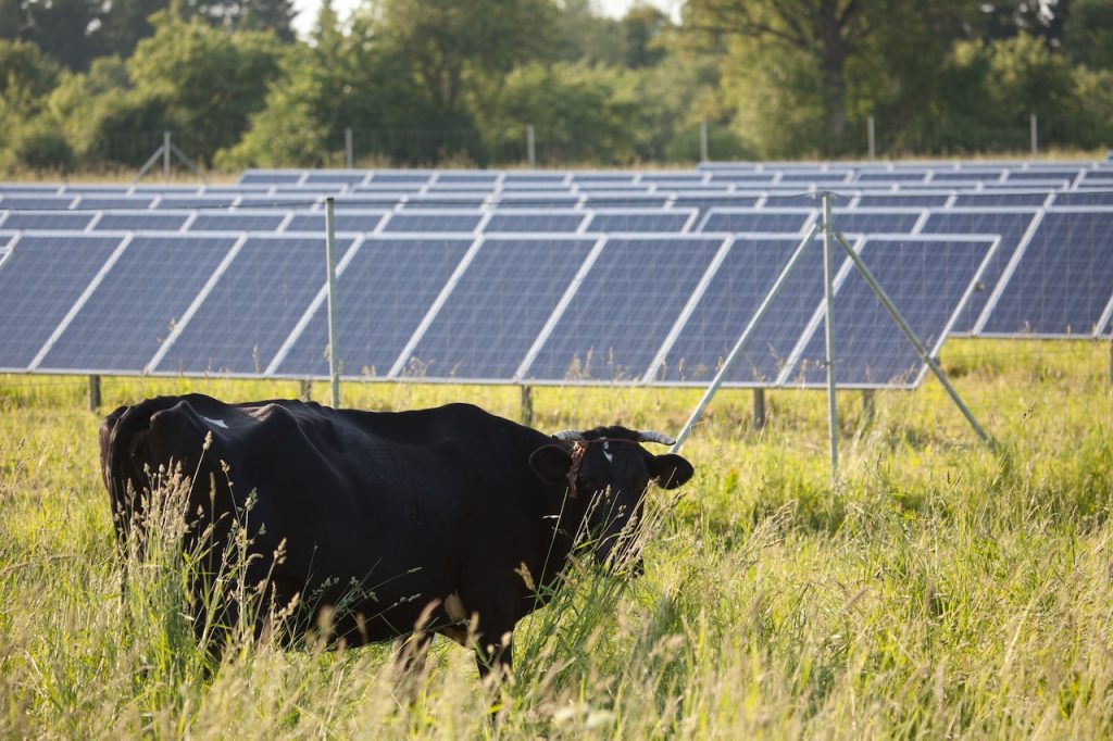 SEIA Report Puts Solar's Farmland Impact in Perspective - Biz New Orleans
